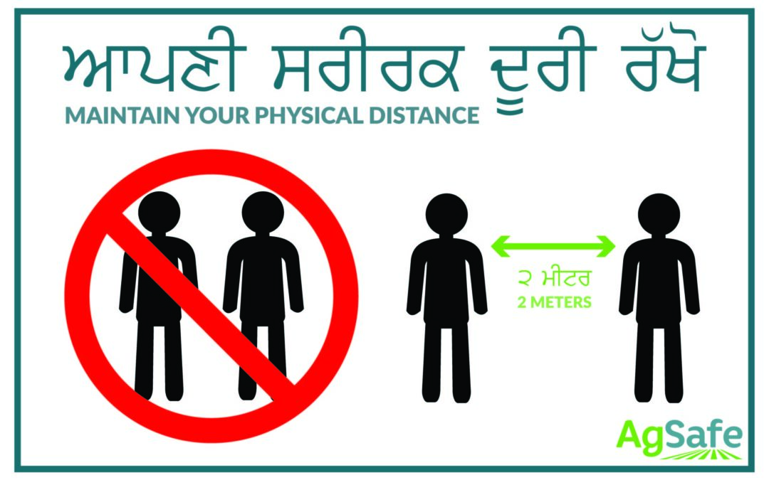 Maintain-Your-Physical-Distance-Signage-English-Punjabi-11x17 - PEI ...